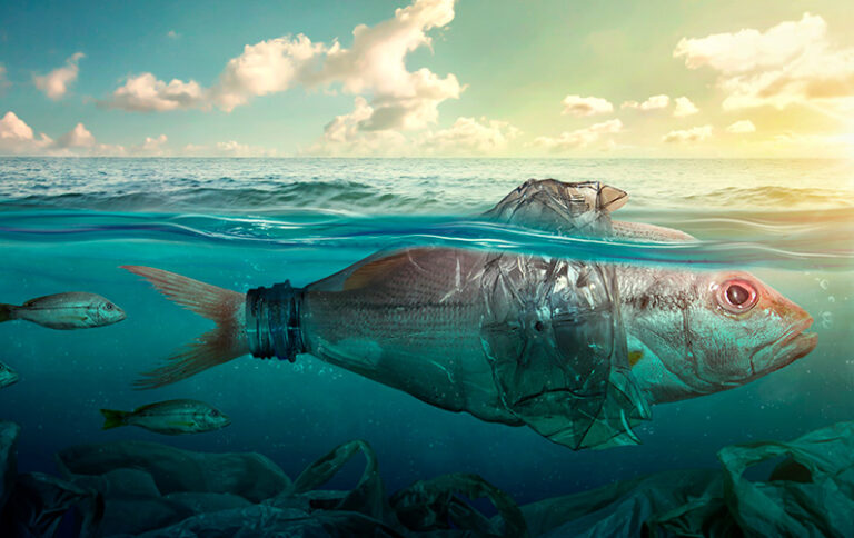 La Crisis de la Biodiversidad - SOS PLANETA