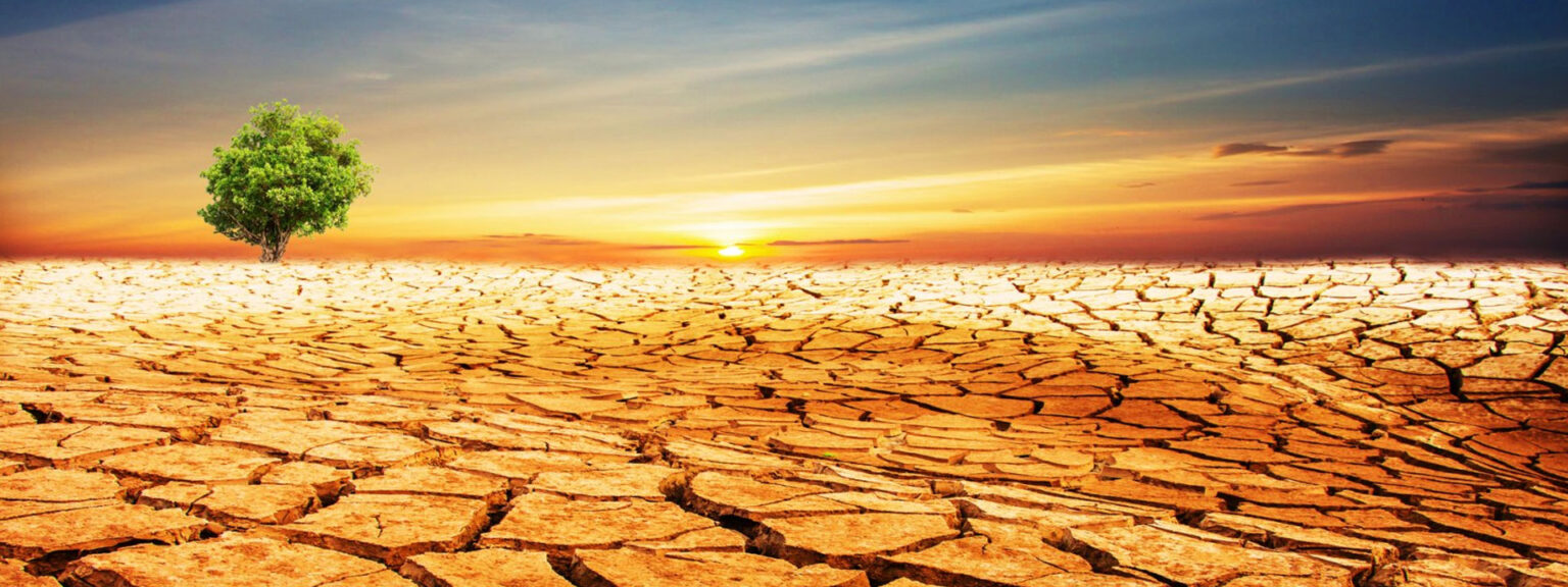 El impacto del cambio climático en los ecosistemas - SOS PLANETA